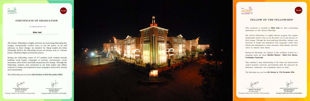 Crafting Change: Teen Advocate Shines in Prestigious YLAC Fellowship ...